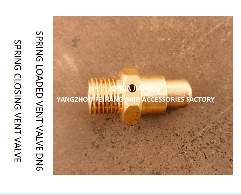 DN6 Brass Spring Loaded Vent Valve with Threaded Ends